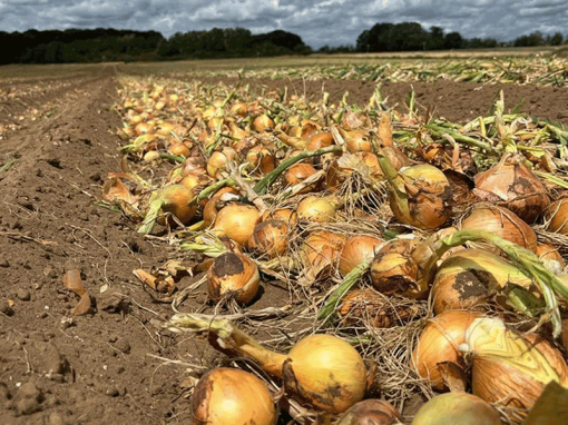 Produce Frederick Hiam Ltd